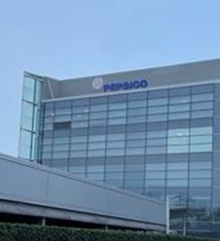 GR Project | PepsiCo