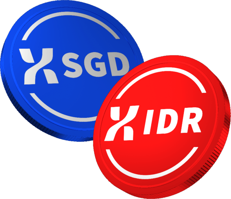 StraitsX | Payments Infrastructure for Digital Assets