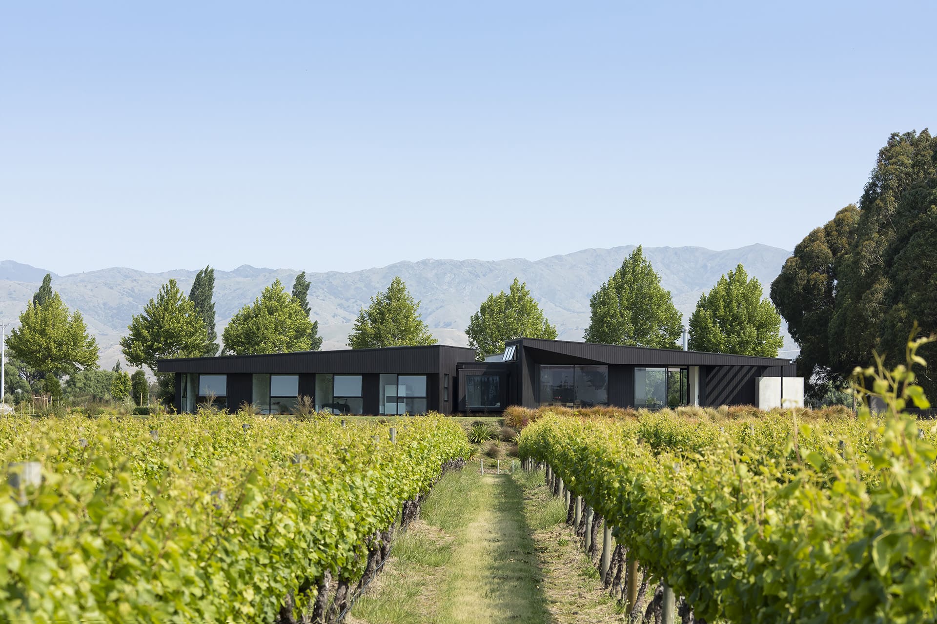 Arthouse Architects | Residential | Vineyard House