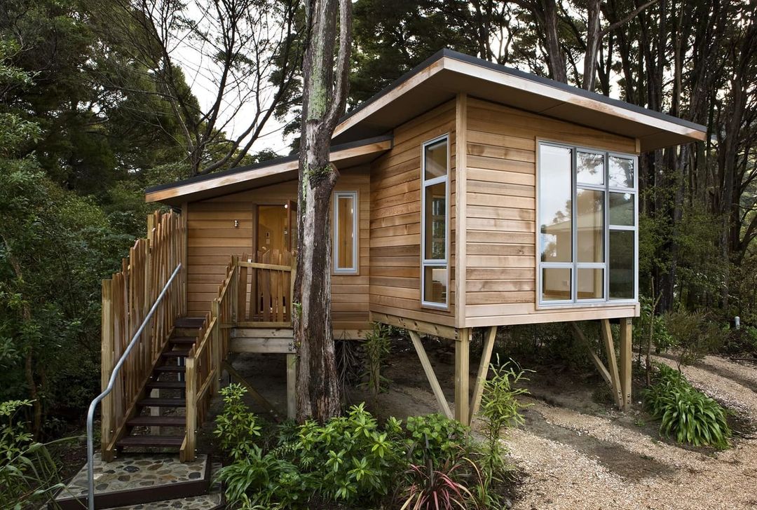 Arthouse Architects | Residential | Tree House