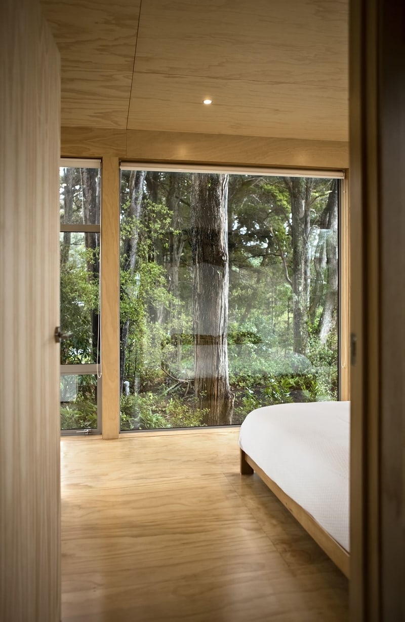 Arthouse Architects | Residential | Tree House