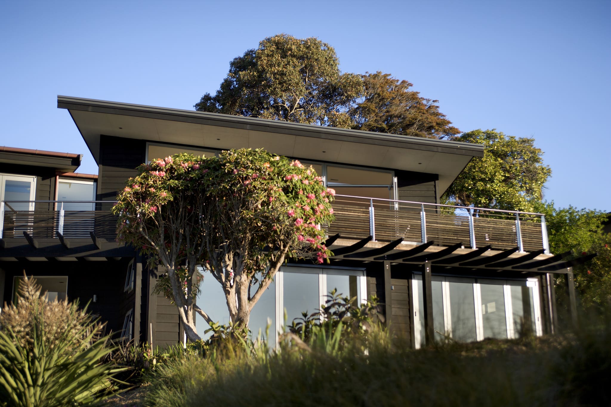 Arthouse Architects | Residential | Wallace Marshall House