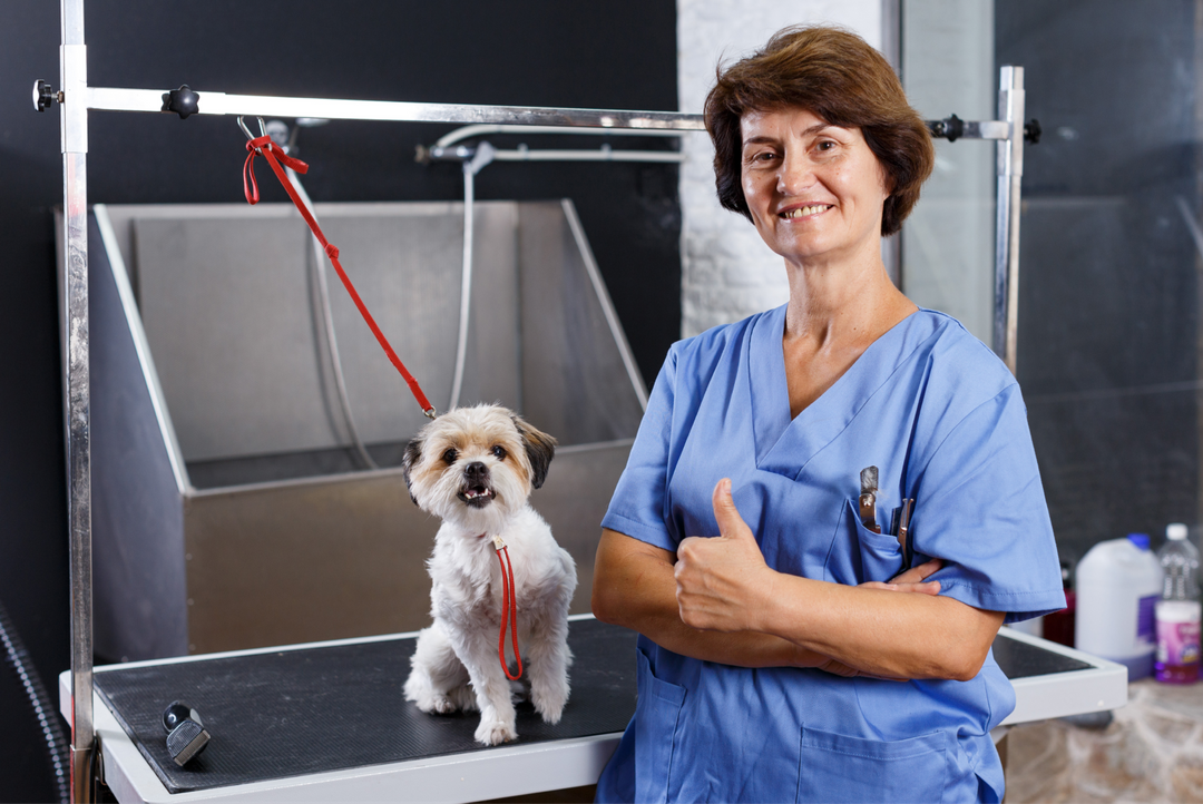 List Of Services A Dog Groomer Can Offer Pawsh List Of Services A Dog Groomer Can Offer Pawsh