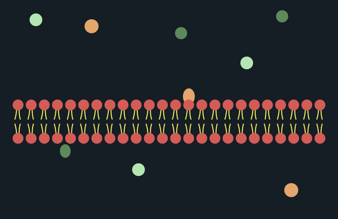Diffusion: einfach erklärt - simpleclub