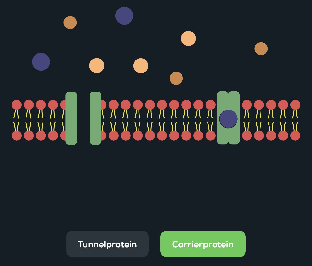 Diffusion: einfach erklärt - simpleclub