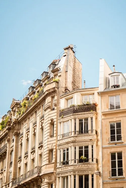 Louve | Investissez dans les SCPI les plus rentables