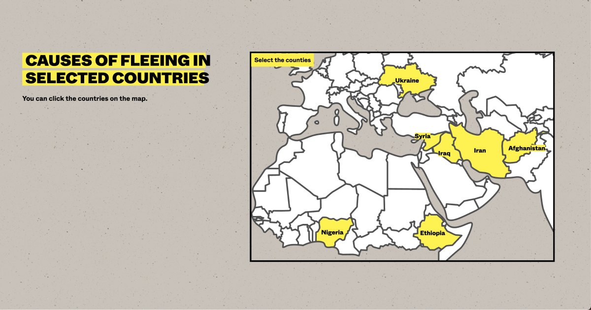Causes of fleeing