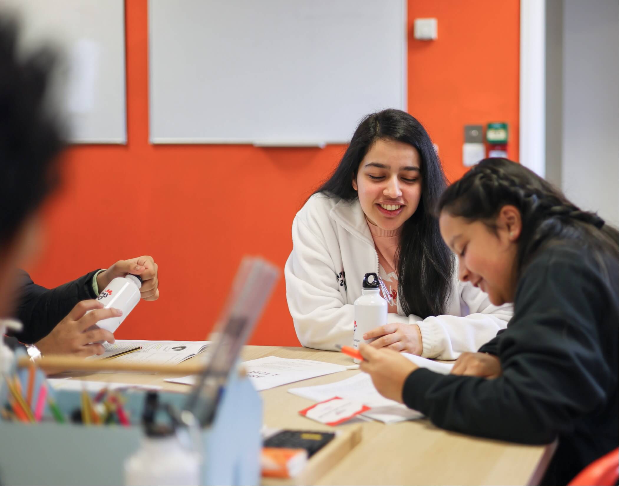 Bespoke After-School Provision - Learning Cubs