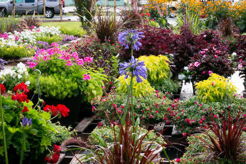 Heritage Fresh Market | Garden