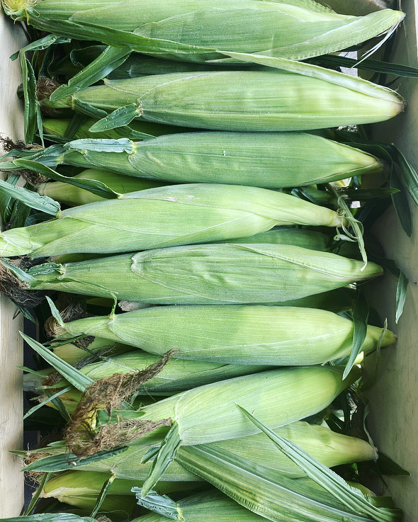 Heritage Fresh Market | In Season