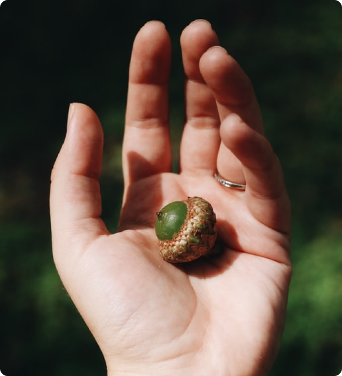 The 15 Most Expensive NFT Sales of All Time - NFT Эксперт