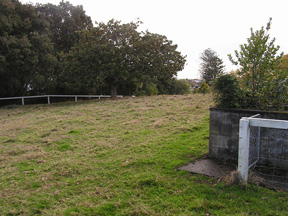 Hauraki Mission Station (Puriri and Parawai Sites)