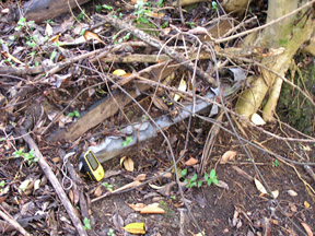 Hauraki Mission Station (Puriri and Parawai Sites)