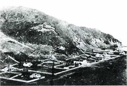 The Tapu Rifle Rangers 1869