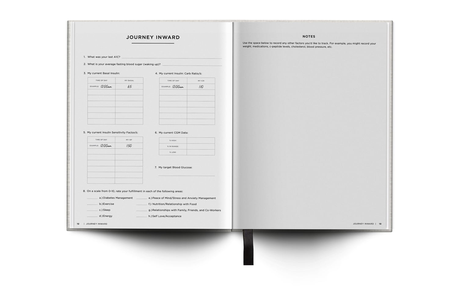 The Diabetic Health Journal | Risely Health