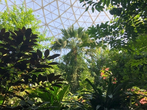 Mitchell Park Domes - Tropical Dome