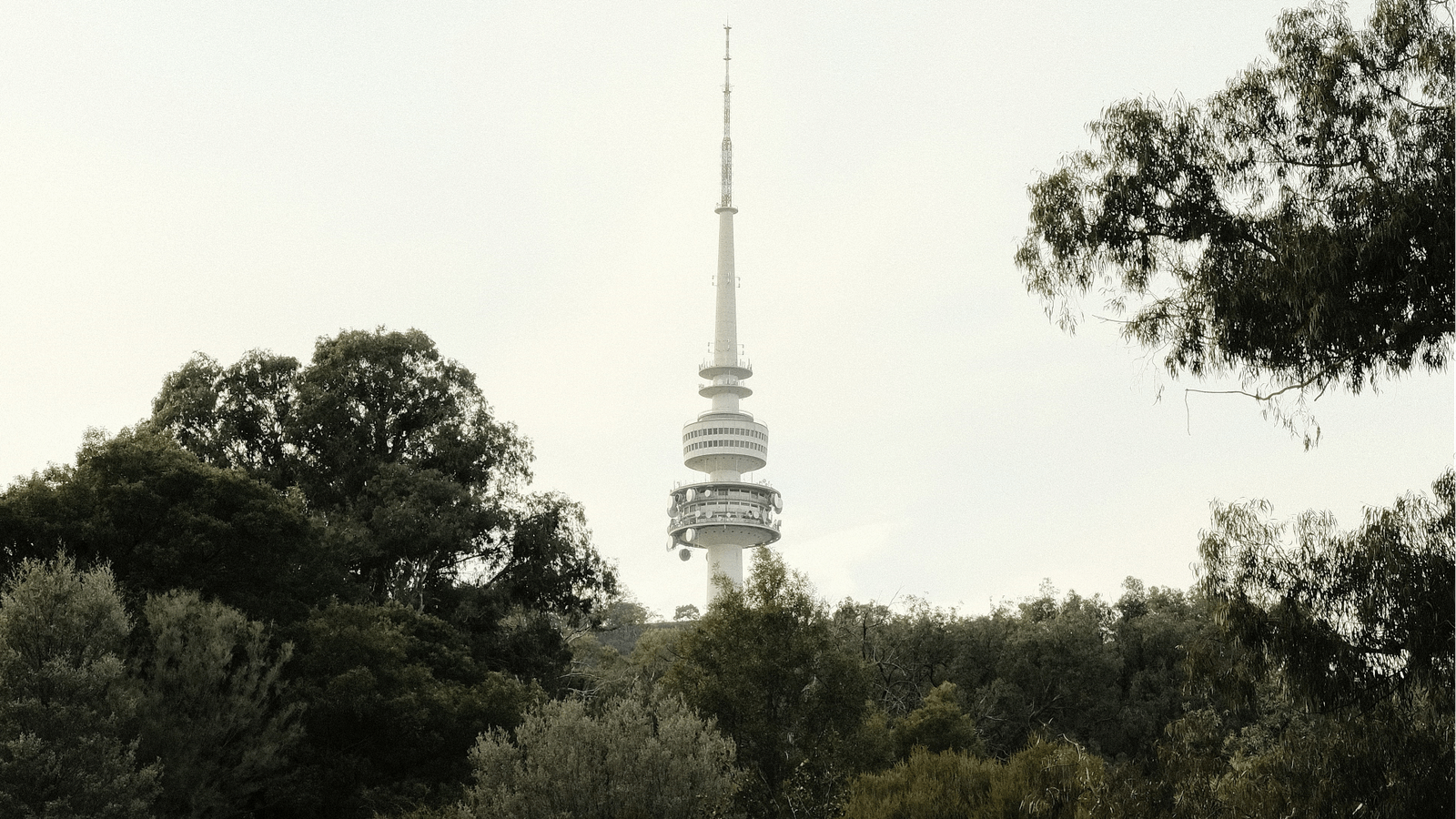 Canberra Strata Title Testimonial