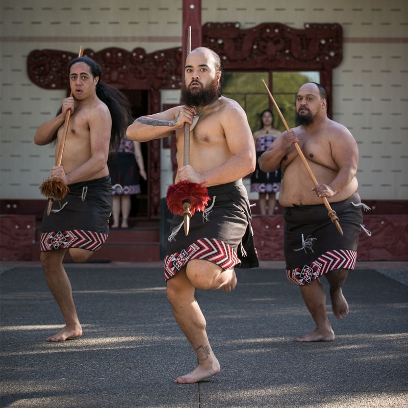 Waitangi Treaty Grounds | Visit, Learn, Educate | Waitangi