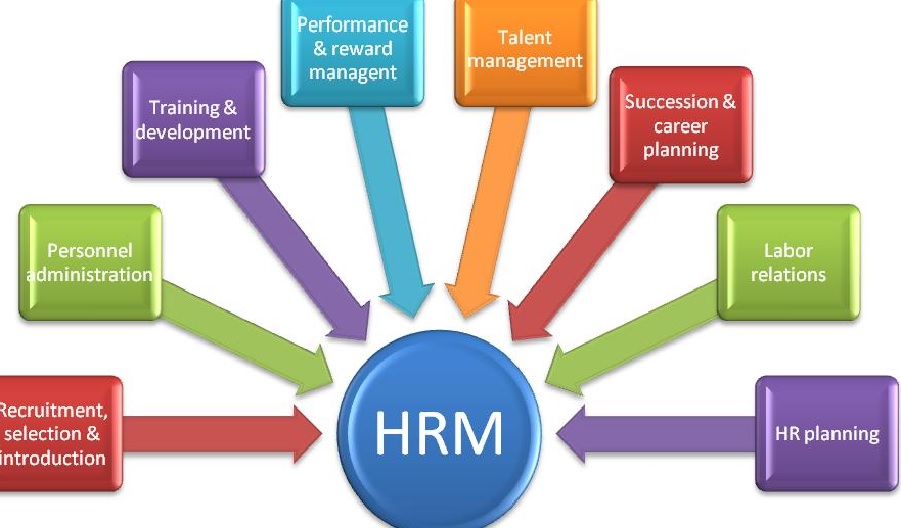 Benefits of HRM System in a Digital Economy