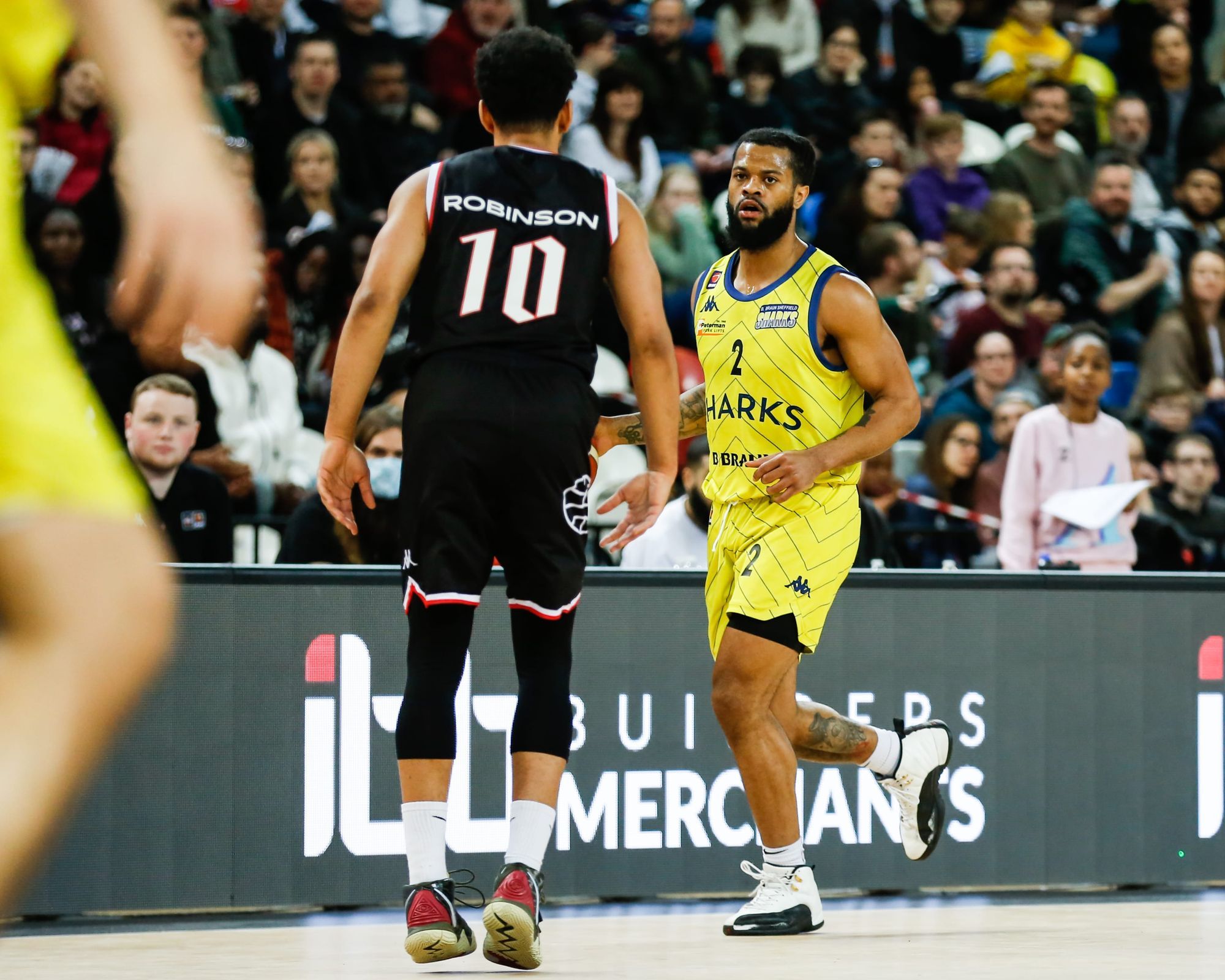 The London Lions Basketball Team | News