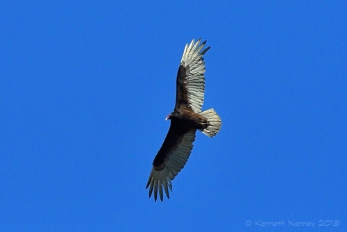 BigScience Research Workshop