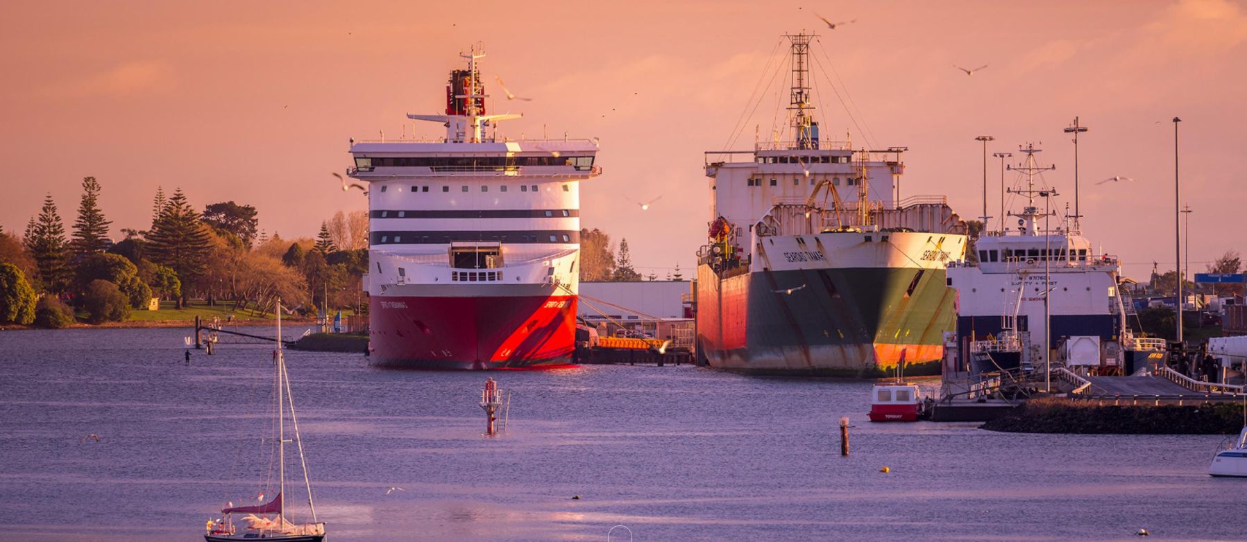 MONSON | Experienced Global Shipping Specialists