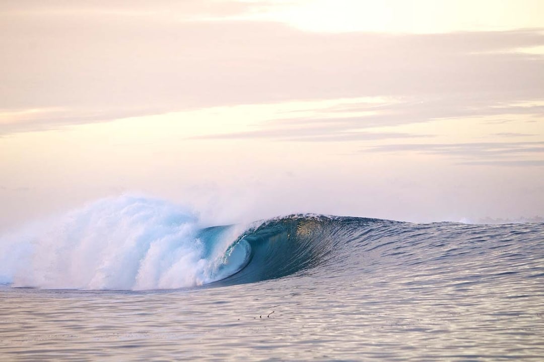 Surfing Made Easy | OMBE