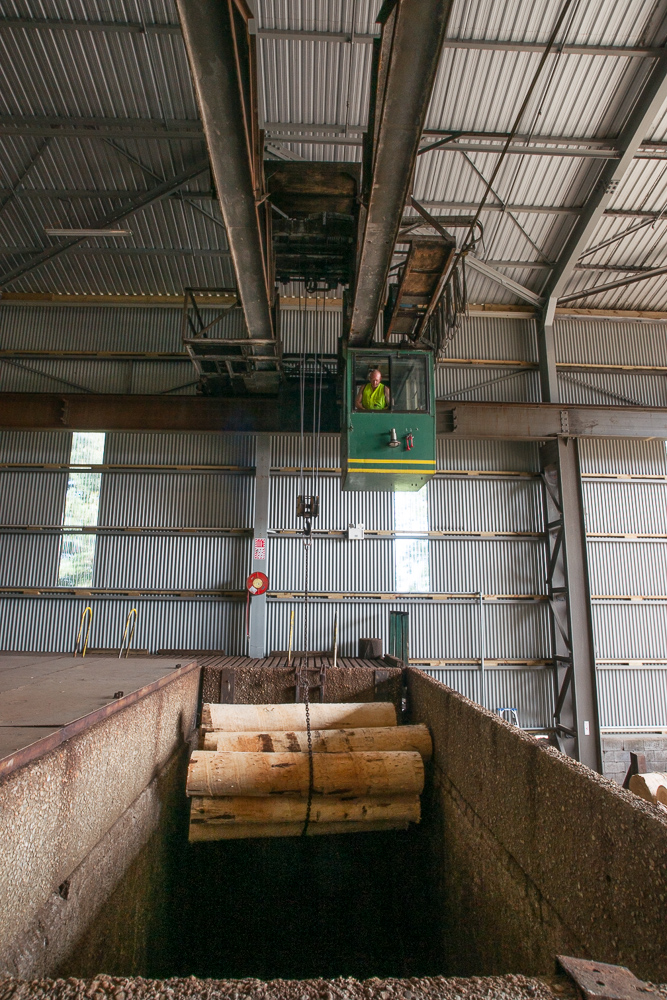 Plywood Manufacturing Process | Scooters Plywood and Joinery Supplies Ltd