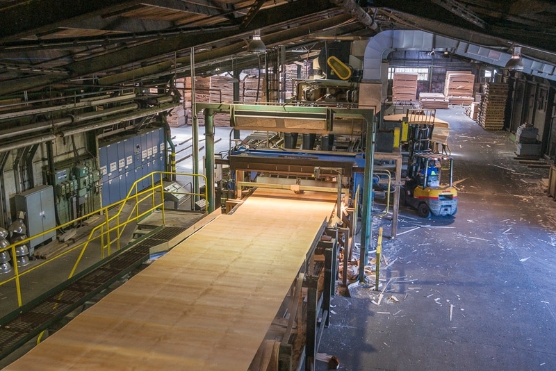 Plywood Manufacturing Process | Scooters Plywood and Joinery Supplies Ltd