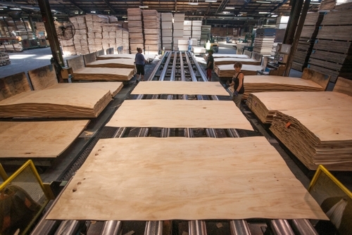 Plywood Manufacturing Process | Scooters Plywood and Joinery Supplies Ltd