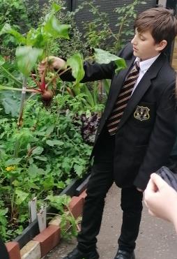 News & calendars | St Thomas More Language School