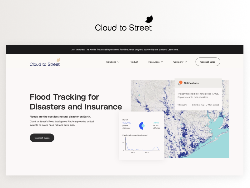 Ammo Studio | Expert Webflow Development Agency