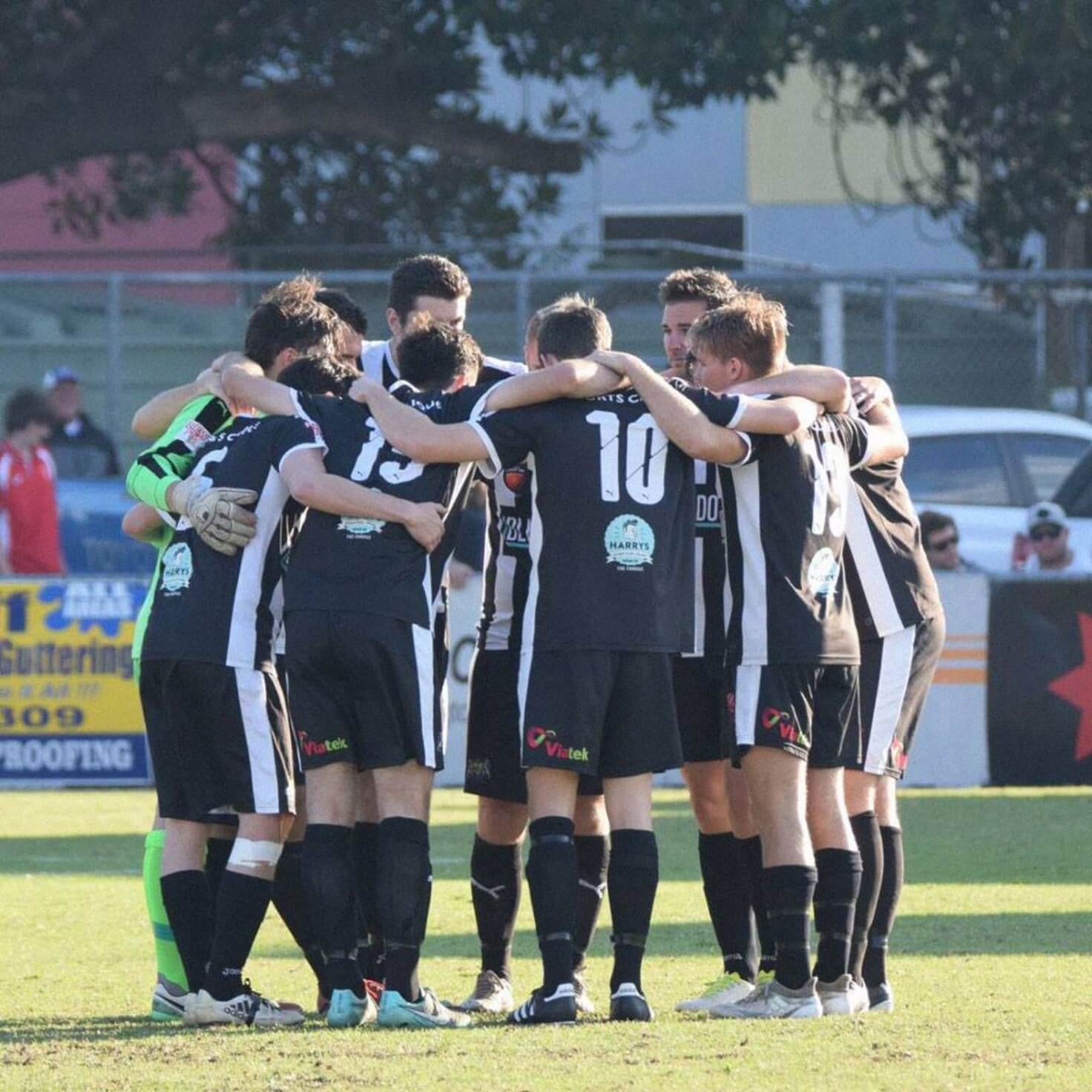 Cooks Hill United FC - NPL, JDL & Community Football