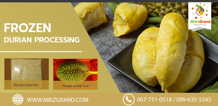 Frozen Durian Processing