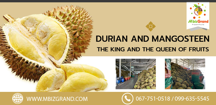Durian and Mangosteen: The King and The Queen of Fruits