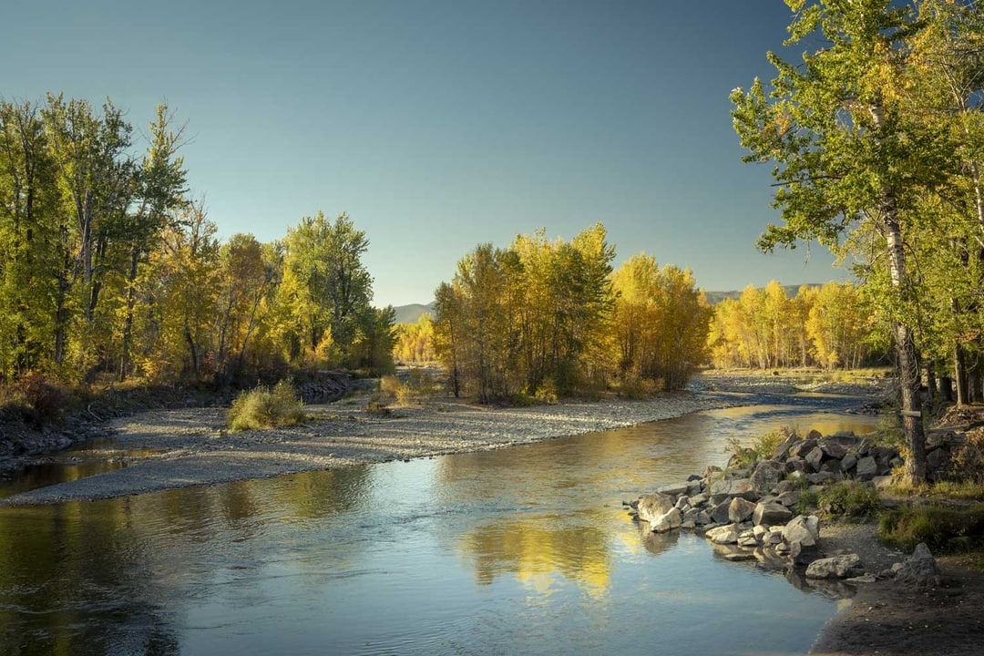 Bozeman Fly Supply | Fishing Report