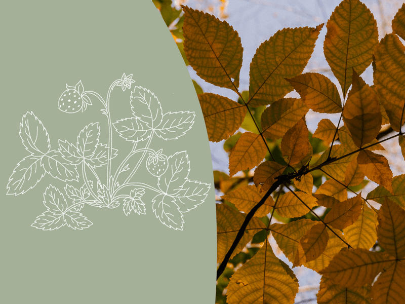 Autism Life Expectancy | Autism Resources