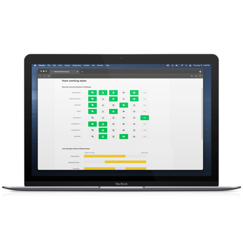 Rising Team - Lead happy, successful remote teams