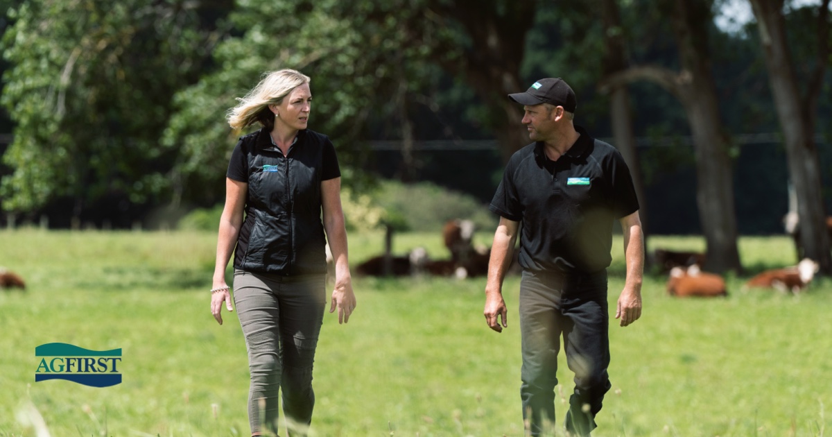 AgFirst - Projects | Agribusiness Consultants New Zealand