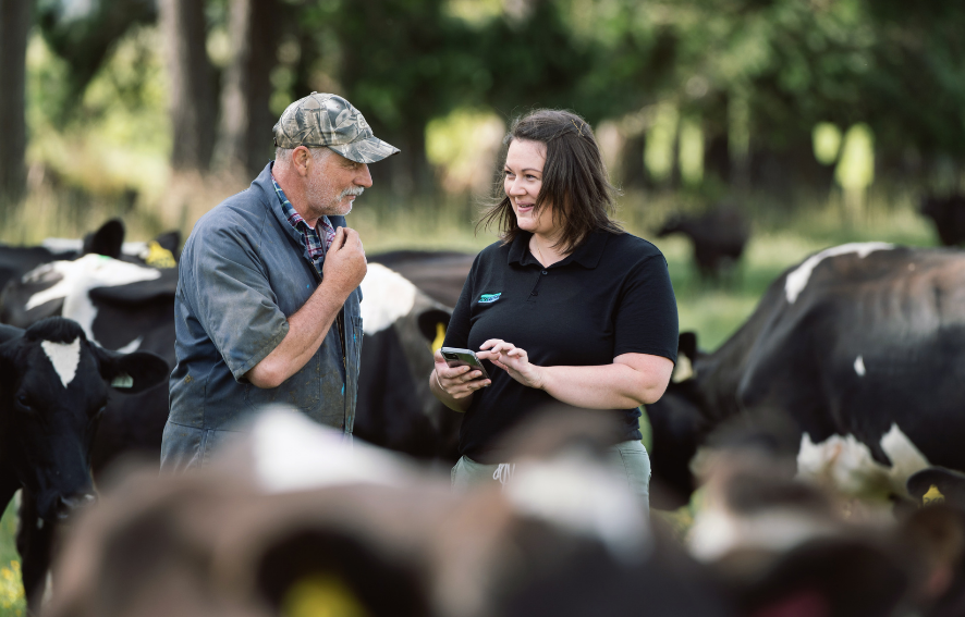 AgFirst - Projects | Agribusiness Consultants New Zealand