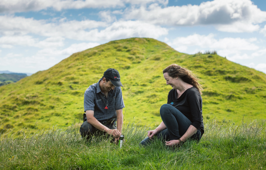 AgFirst - Projects | Agribusiness Consultants New Zealand