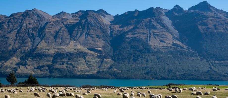 AgFirst Otago | Office