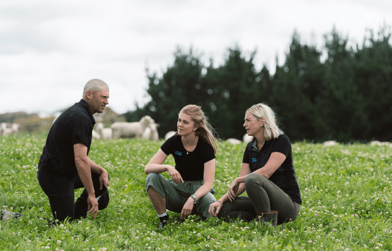 AgFirst - Projects | Agribusiness Consultants New Zealand