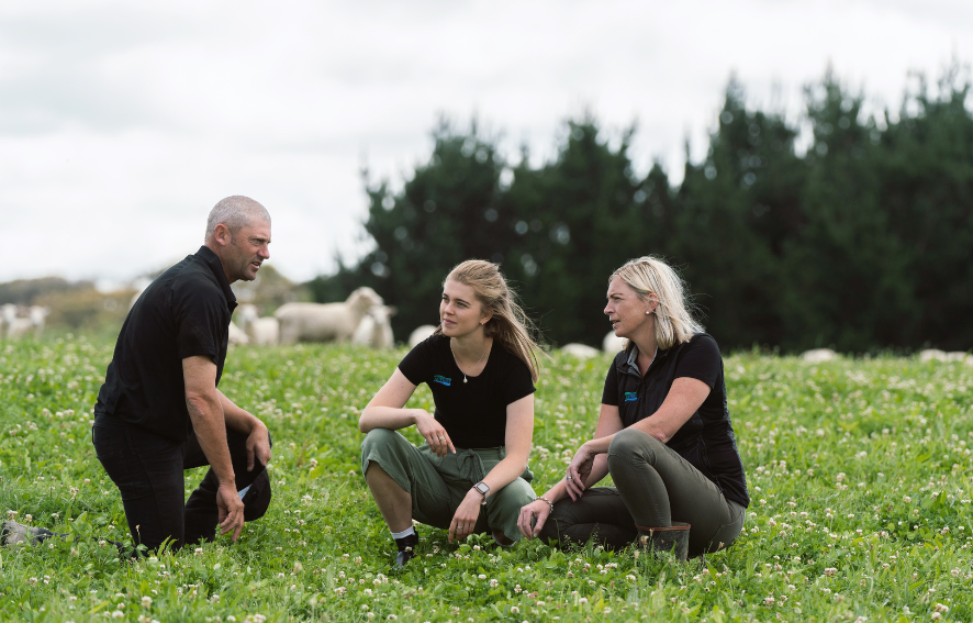 Updates to Intensive Winter Grazing Regulations