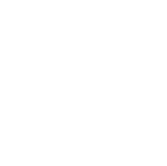 Monkedia | High-Performance Advertising + Growth Strategies