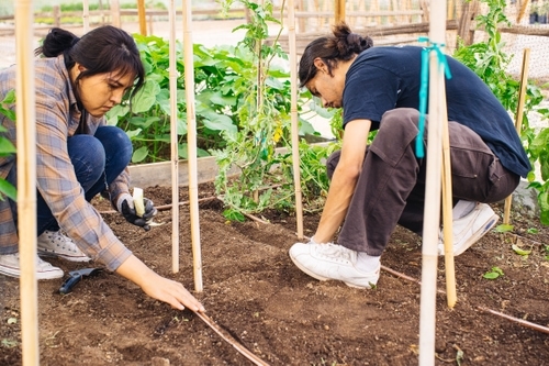 Ecotherapy | Urban Farming Education | WeAreUFE