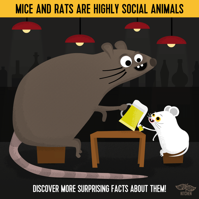 Some facts about soy – Simple Happy Kitchen