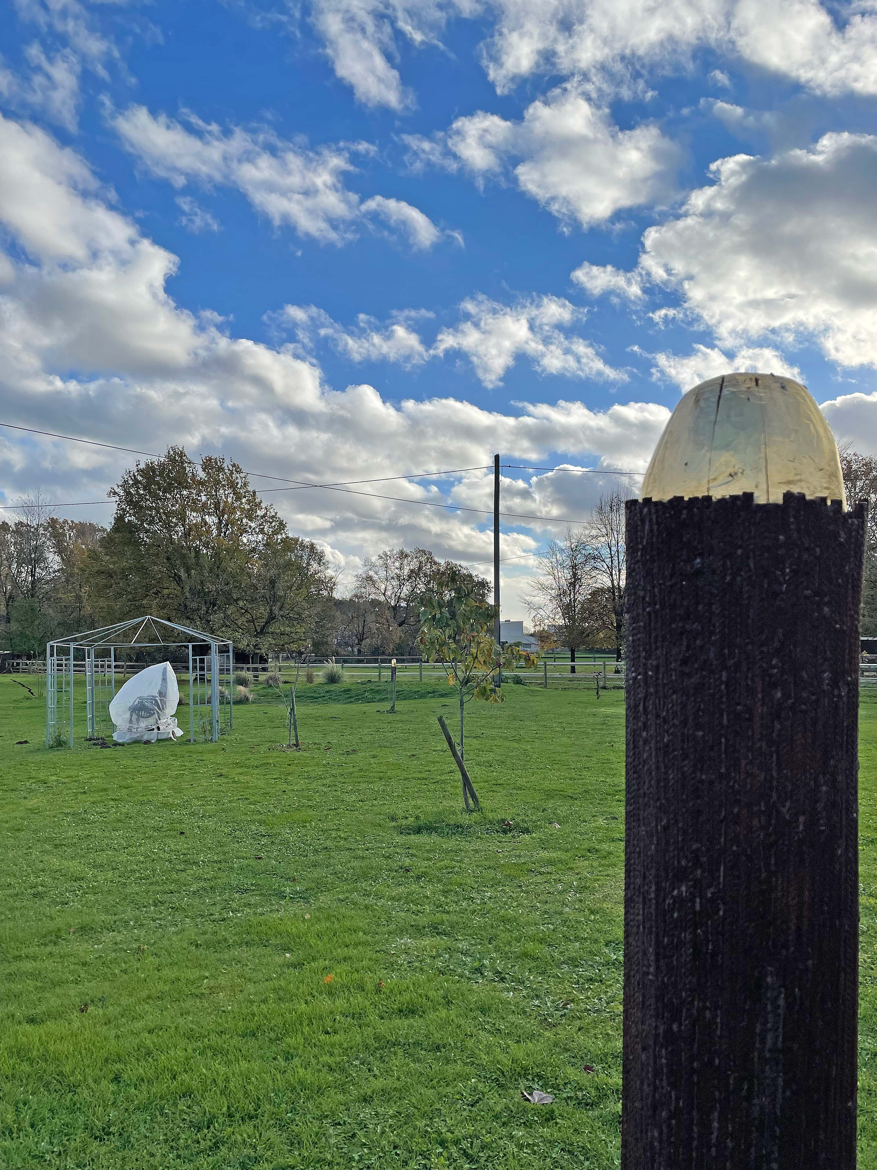 artpark CMS