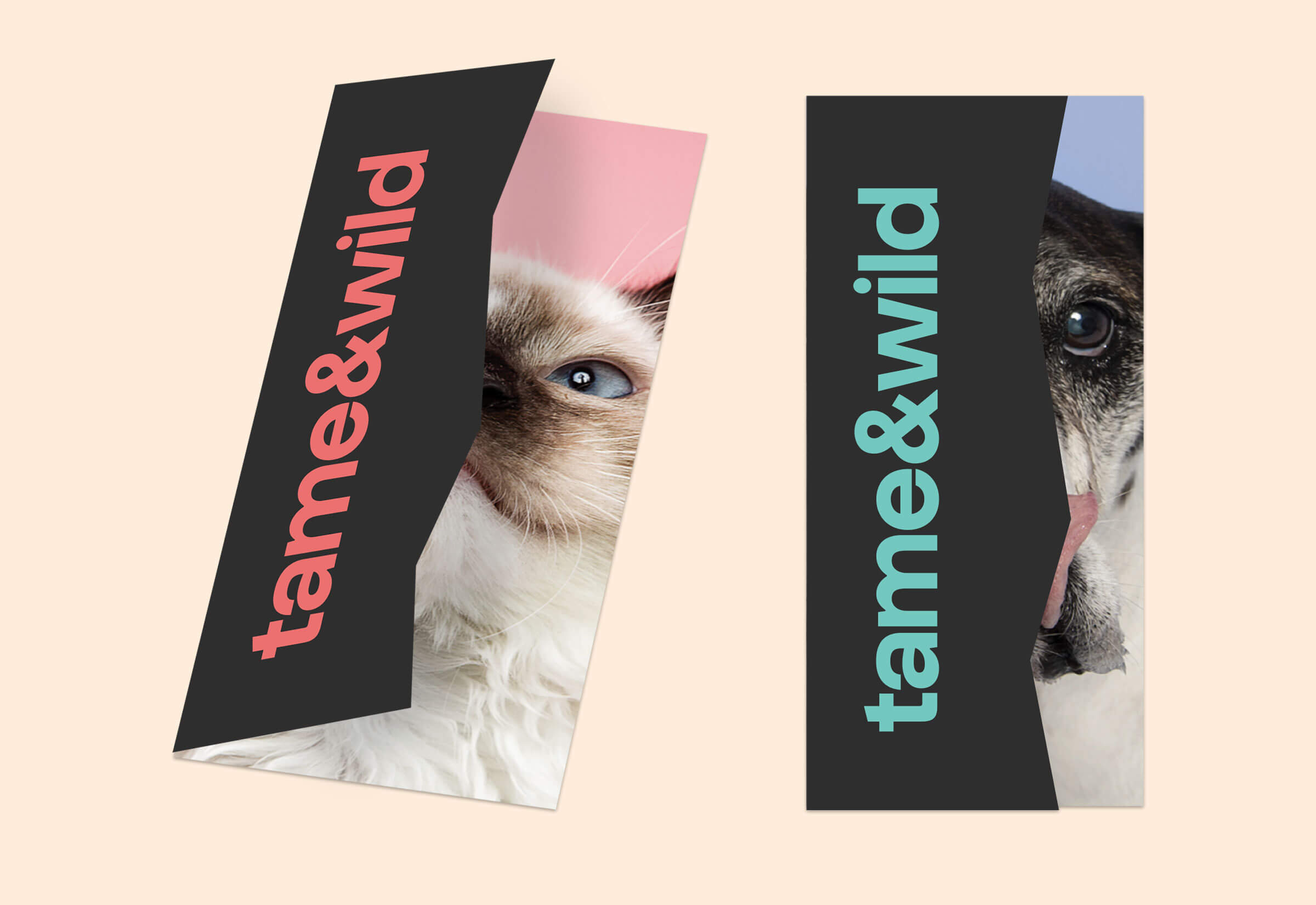 Tame & Wild | The Good Studio