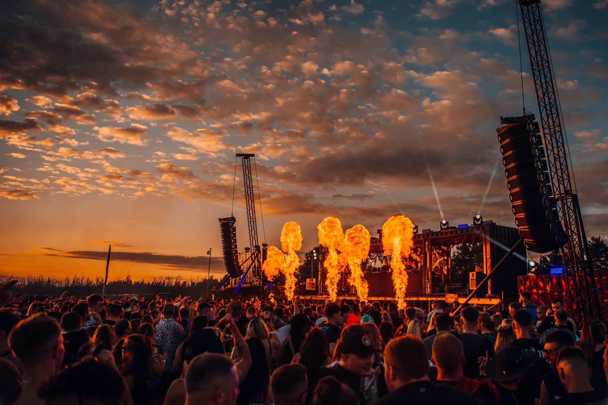 About - Mint Festival